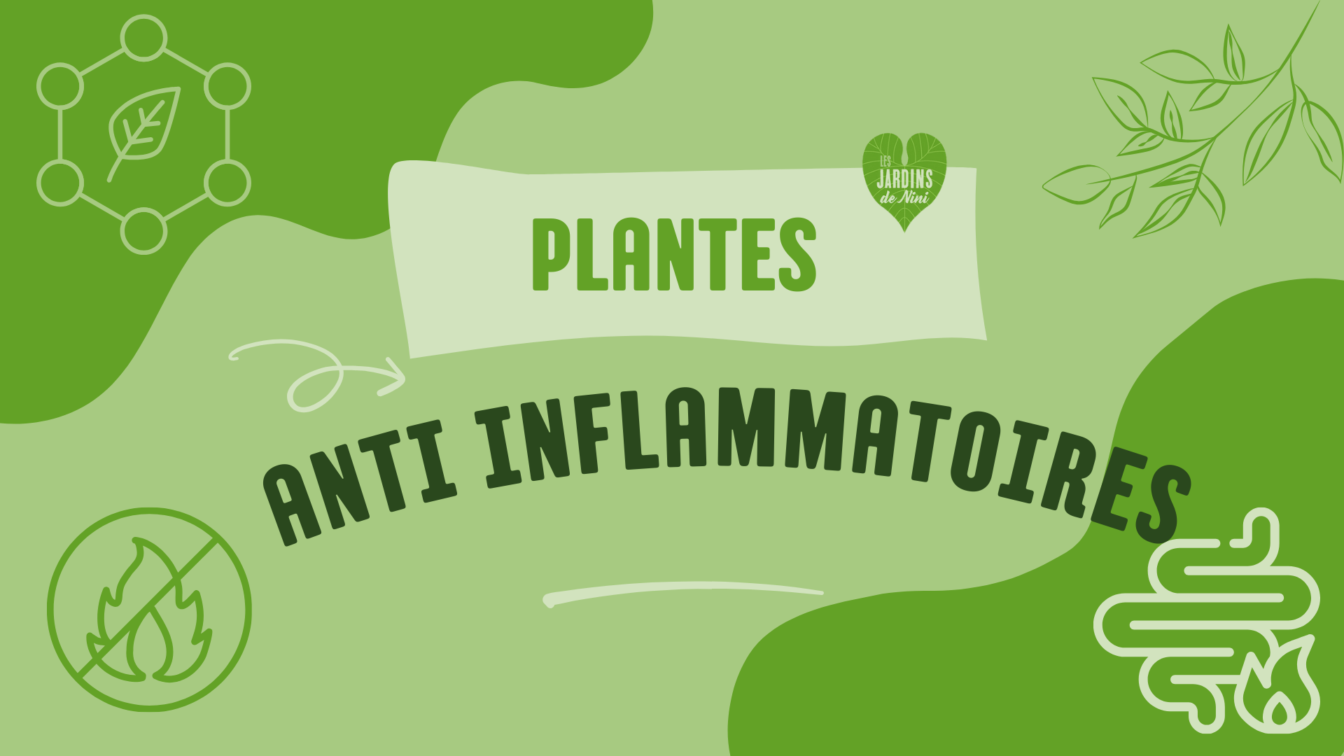 Les plantes anti-inflammatoires indispensables à avoir chez soi ! - Les ...